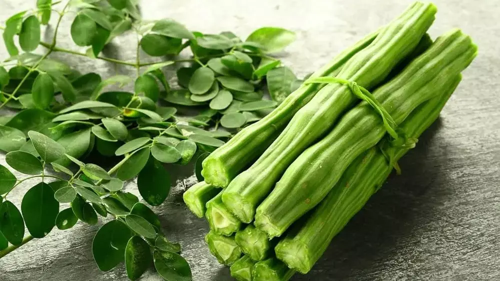 Moringa Benefits: सुपरफूड से कम नहीं है यह फली, हड्डियां बनाती है मजबूत ...