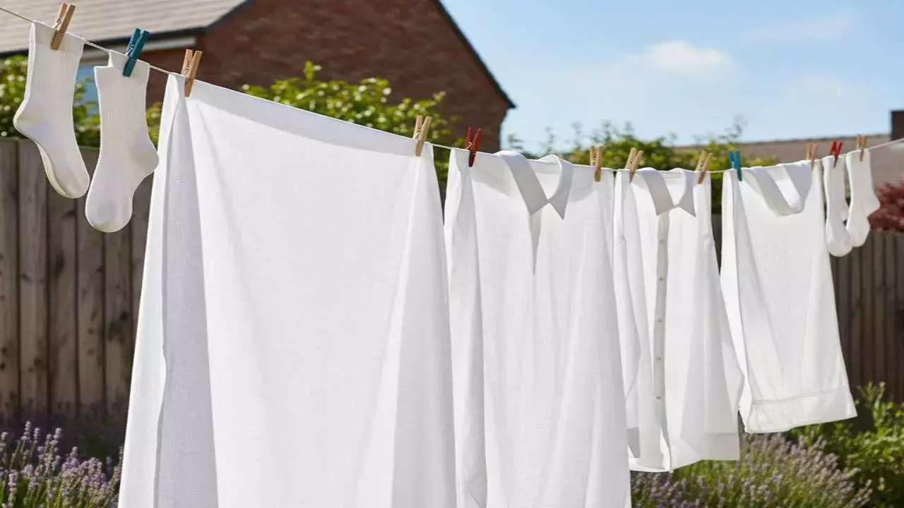 White Clothes: सफेद कपड़ों में नहीं आएगा पीलापन, वॉशिंग के वक्त बस ध्यान रखें 4 बातें | how to ...
